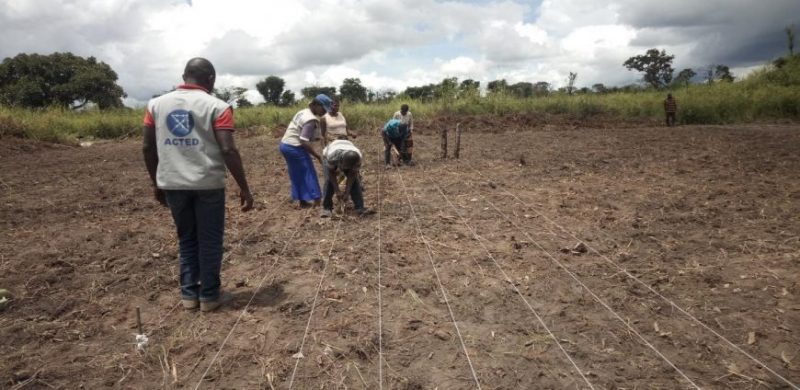 Relancer l’agriculture dans le territoire de Pweto pour une résilience ...