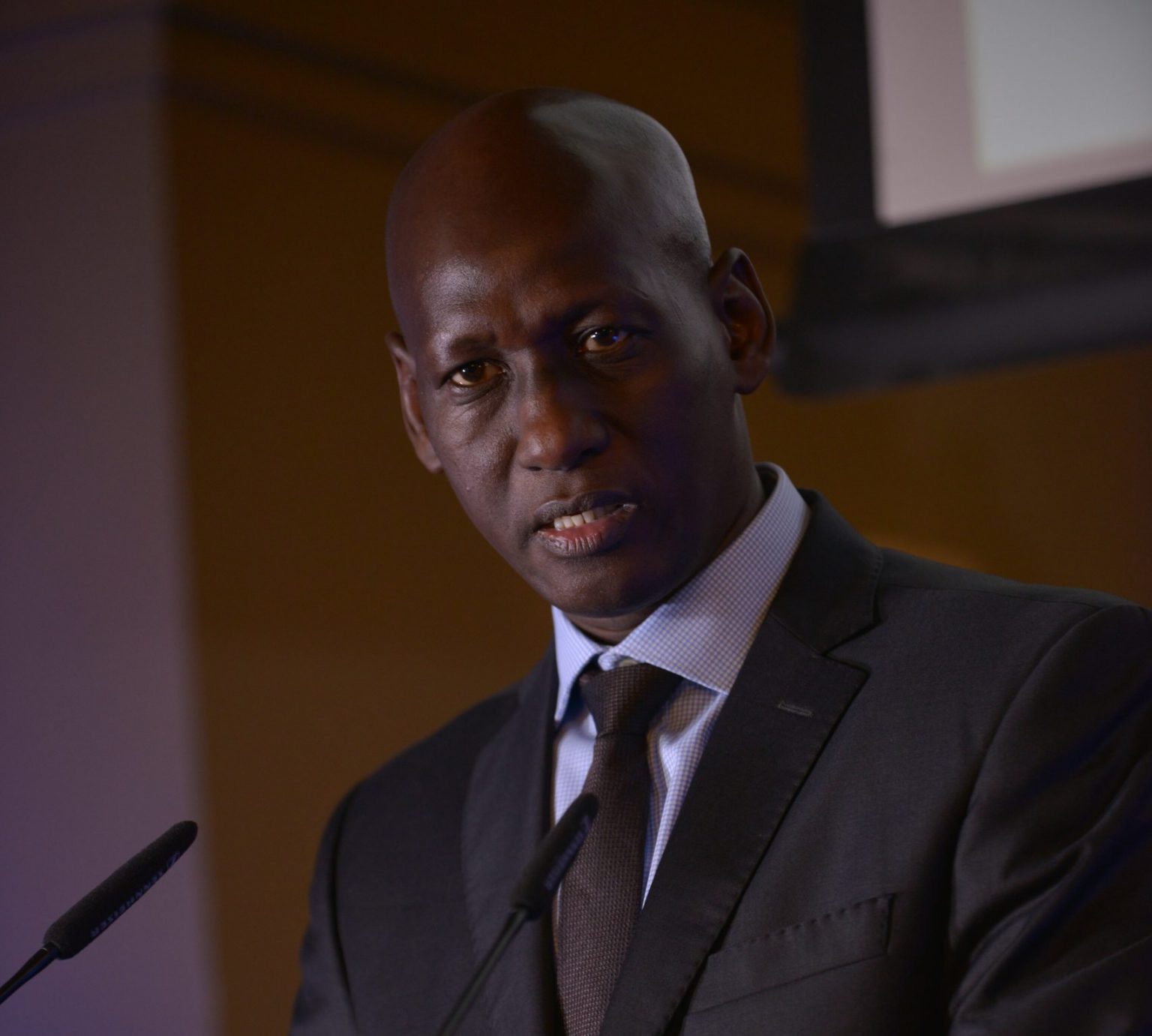 Entretien avec Mohamadou Diallo à l'occasion du WASS - AFRICA MUTANDI