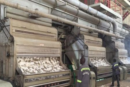 Cameroun : La Sodecoton veut construire une 11e usine, anticipant sur ...