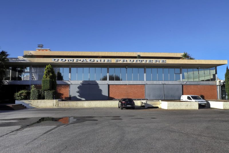 Agrisud en Côte d'Ivoire, avec le soutien du fonds de dotation de la ...